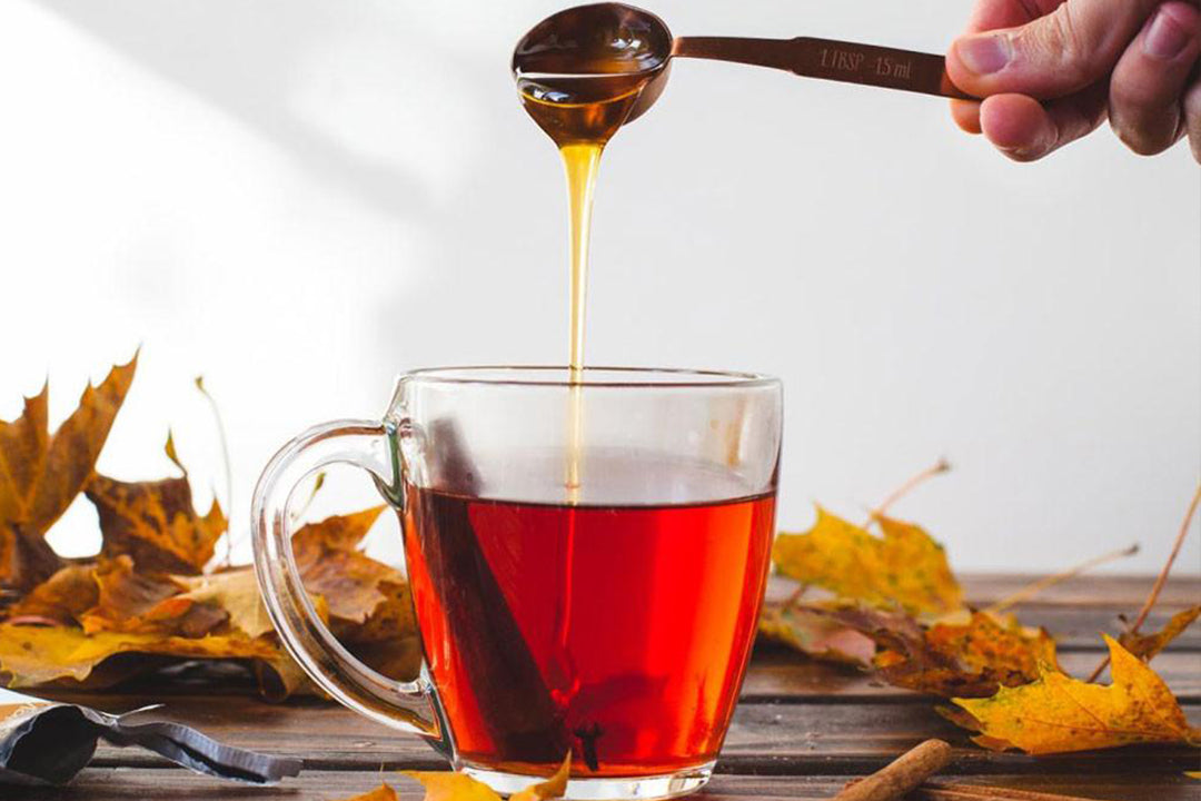 Maple Cider Tea Hot Toddy Recipe | Stash Tea – Stash Tea Canada
