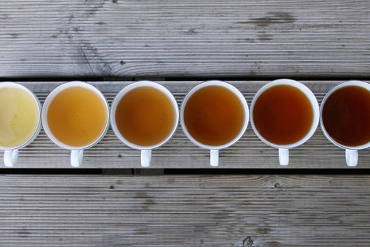 Tea Tasting Terms Glossary | Stash Tea – Stash Tea Canada